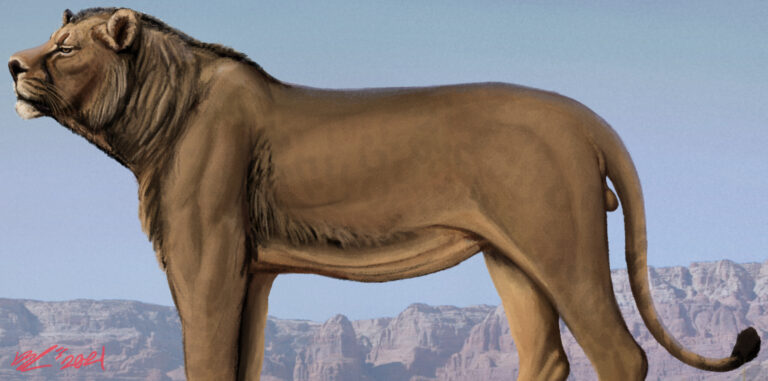 Cave Lion Facts: The Ice Age's Majestic Predator - Animals Discovered